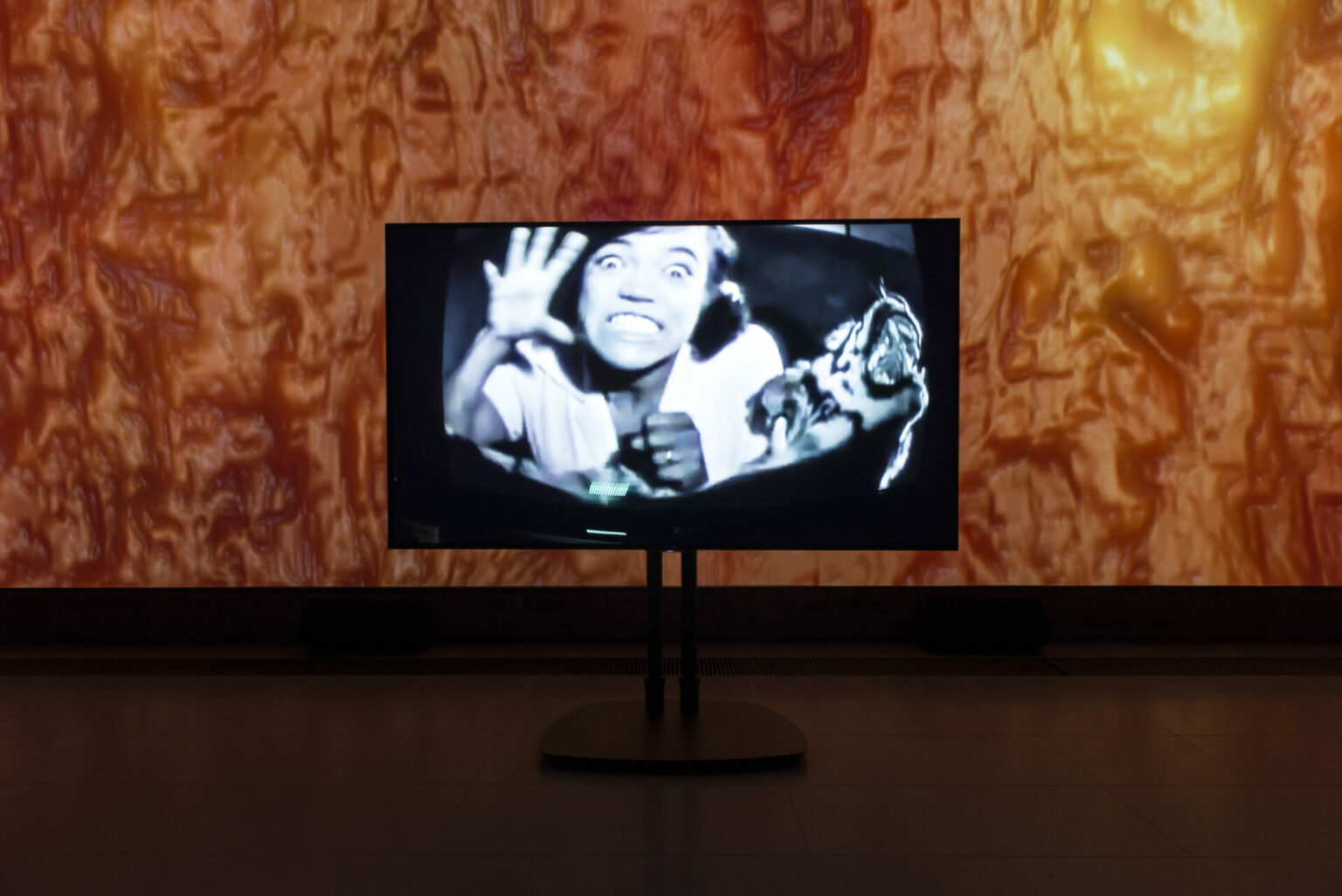 Sondra Perry, Typhoon coming… - Compte rendu - Esse - Art