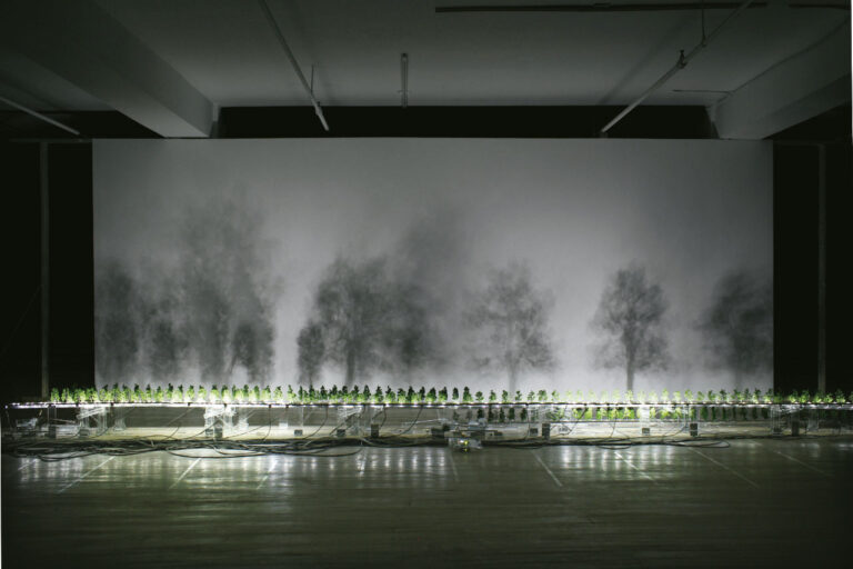 Diane Morin Imbrication… - Compte rendu - Esse - Art
