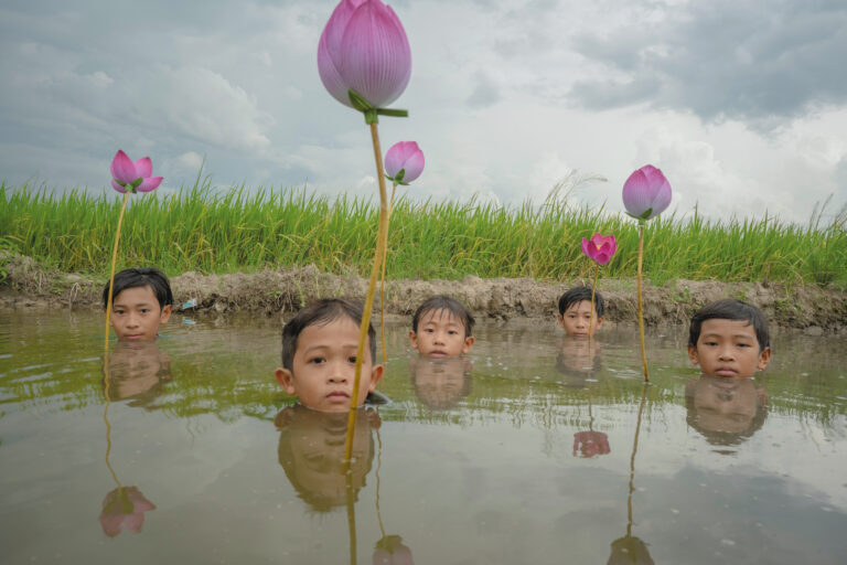 Thao Nguyên Phan - Portfolio - Esse - Art