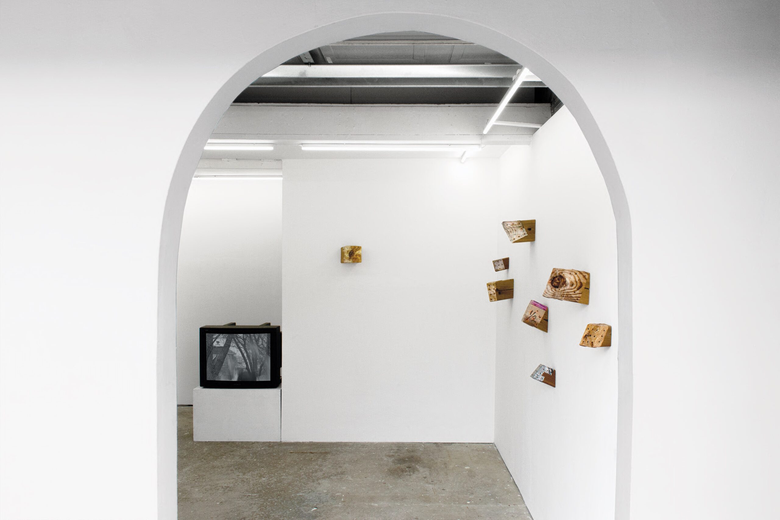 Alan Belcher & Steffani… - Compte rendu - Esse - Art